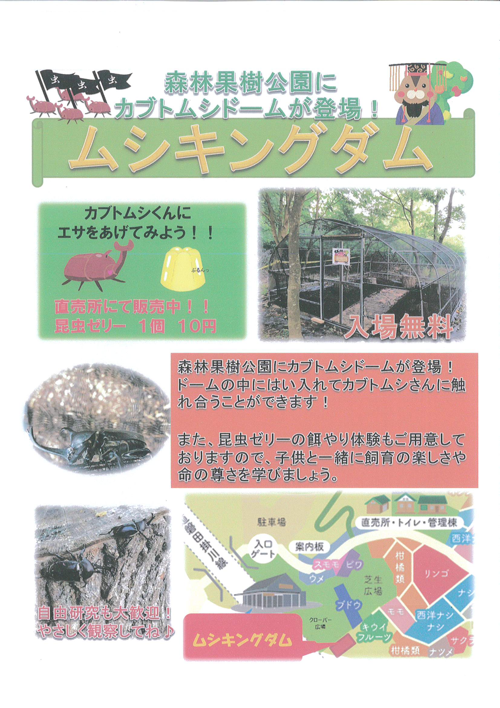 森林果樹公園にカブトムシドーム『ムシキングダム』が登場 掛川観光情報 観光と交流の町「静岡県掛川市」